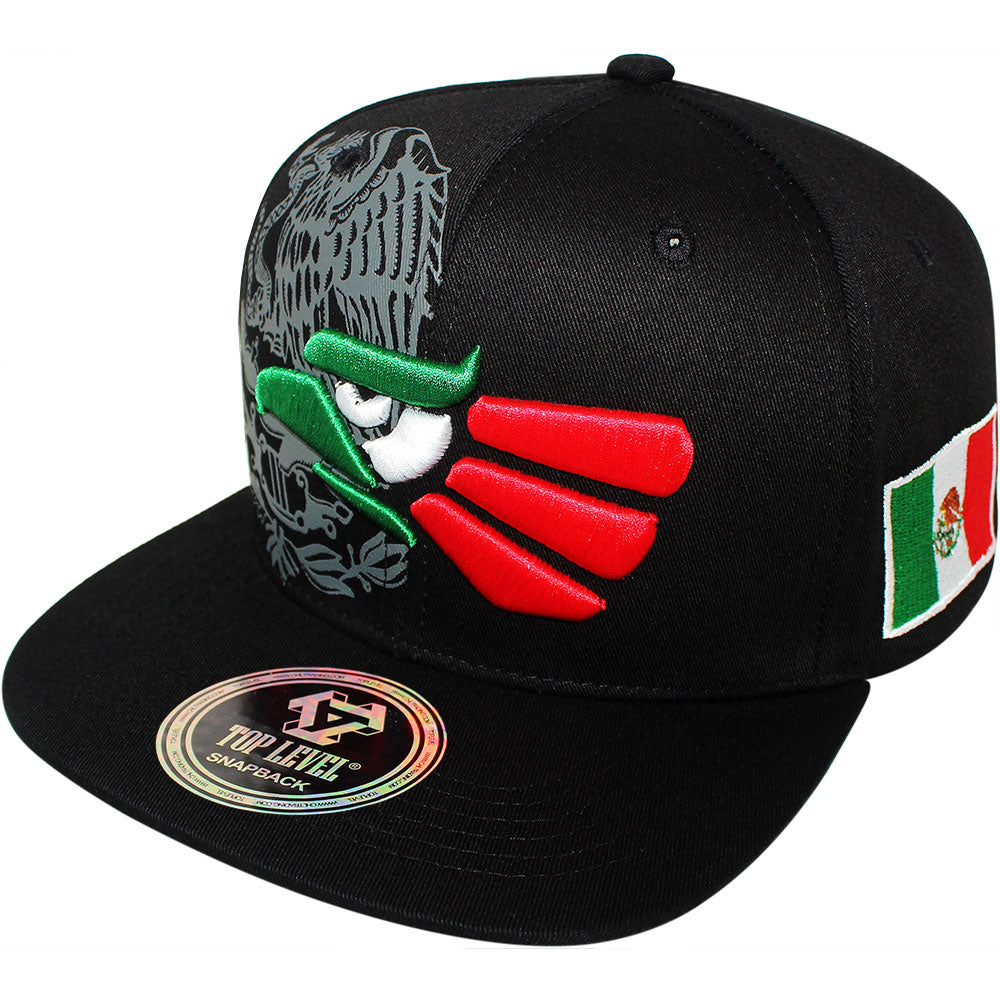 TOP LEVEL : MEXICO | Hecho EN Multi Design Snapback Cap